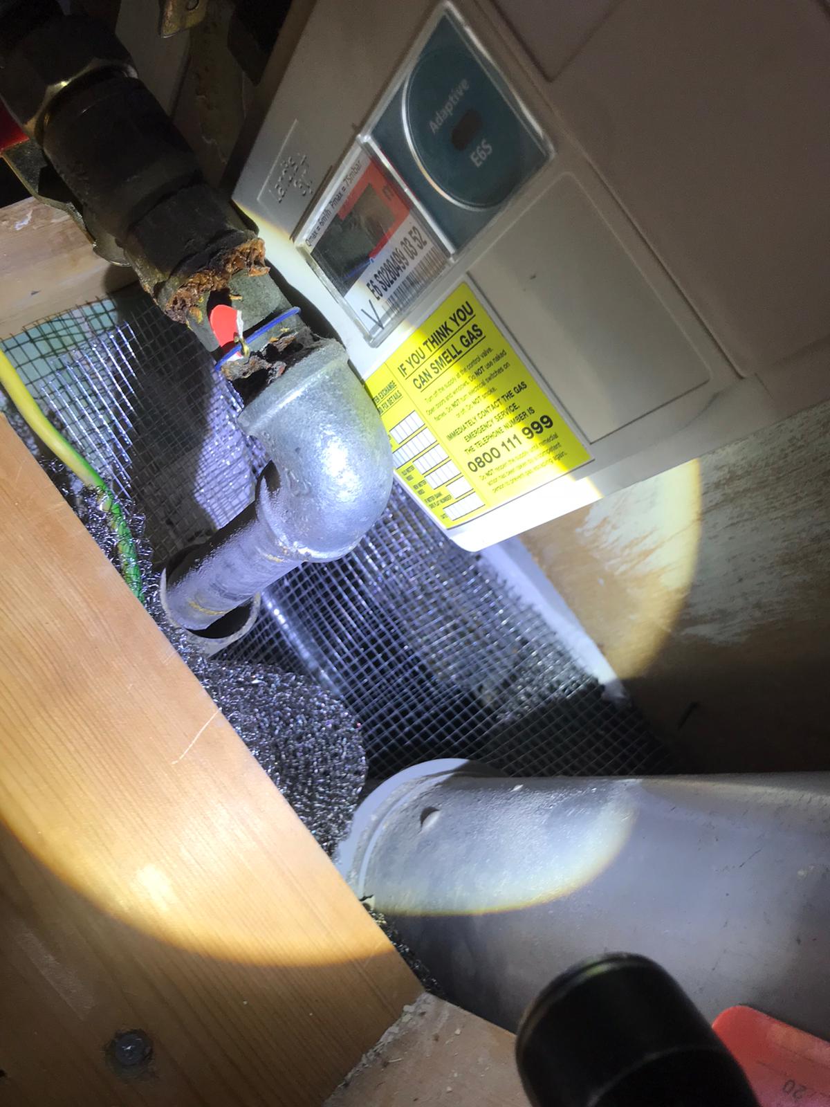 Mouse Proofing - Environ Pest Control