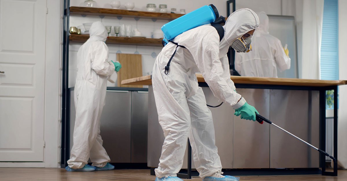 The benefits of professional pest control