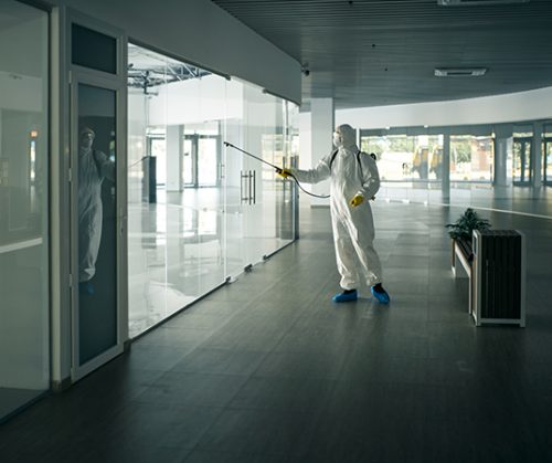 Protect your business: Effective pest control solutions